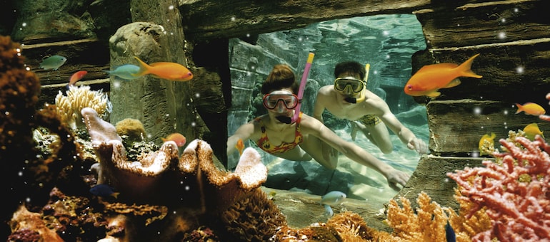 Aqua Mundo | De Vossemeren | Center Parcs