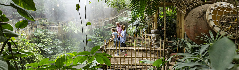 Vakantiepark Nederland, en weekendverblijf, Center Parcs